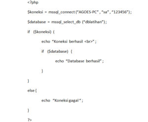 PHP Yang Digunakan Dalam Membangun Toko Online Dengan PHP dan SQL Server - WebHozz Blog